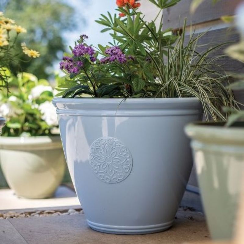 Topline Doyles.Topline Doyles